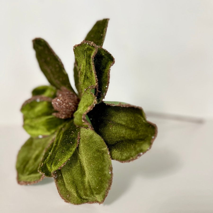 Large Green Magnolia Flower Stem – DesignedBy The Boss
