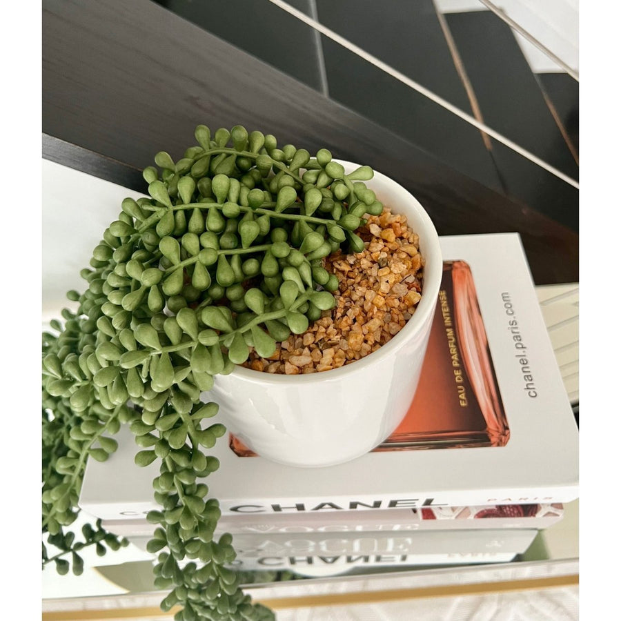 Artificial Succulents Faux Plant String of Pearls in White Ceramic Pot ...