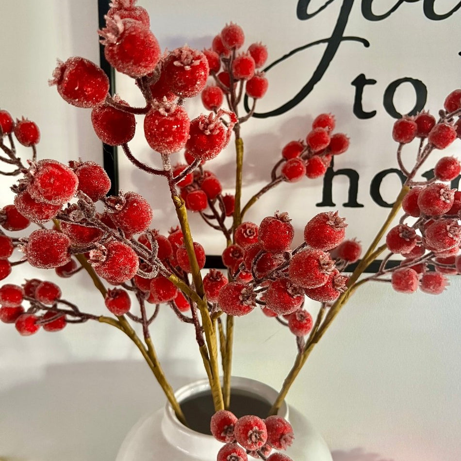 Gilded Frosted Red Berry Stems – DesignedBy The Boss